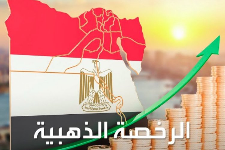 How the golden license increased foreign investment in Egypt ...